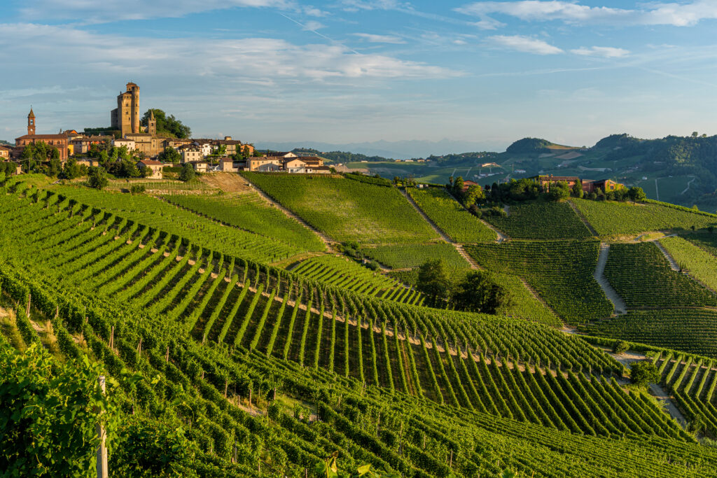 Discovering the Diverse Wines of Piemonte: An Overview of Italy's North ...