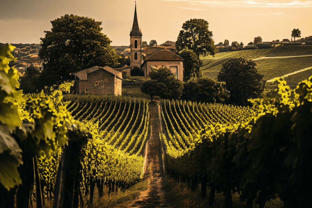 St. Emilion Classification 2022: A Simple Guide | Bernard Marr's Wine Guide